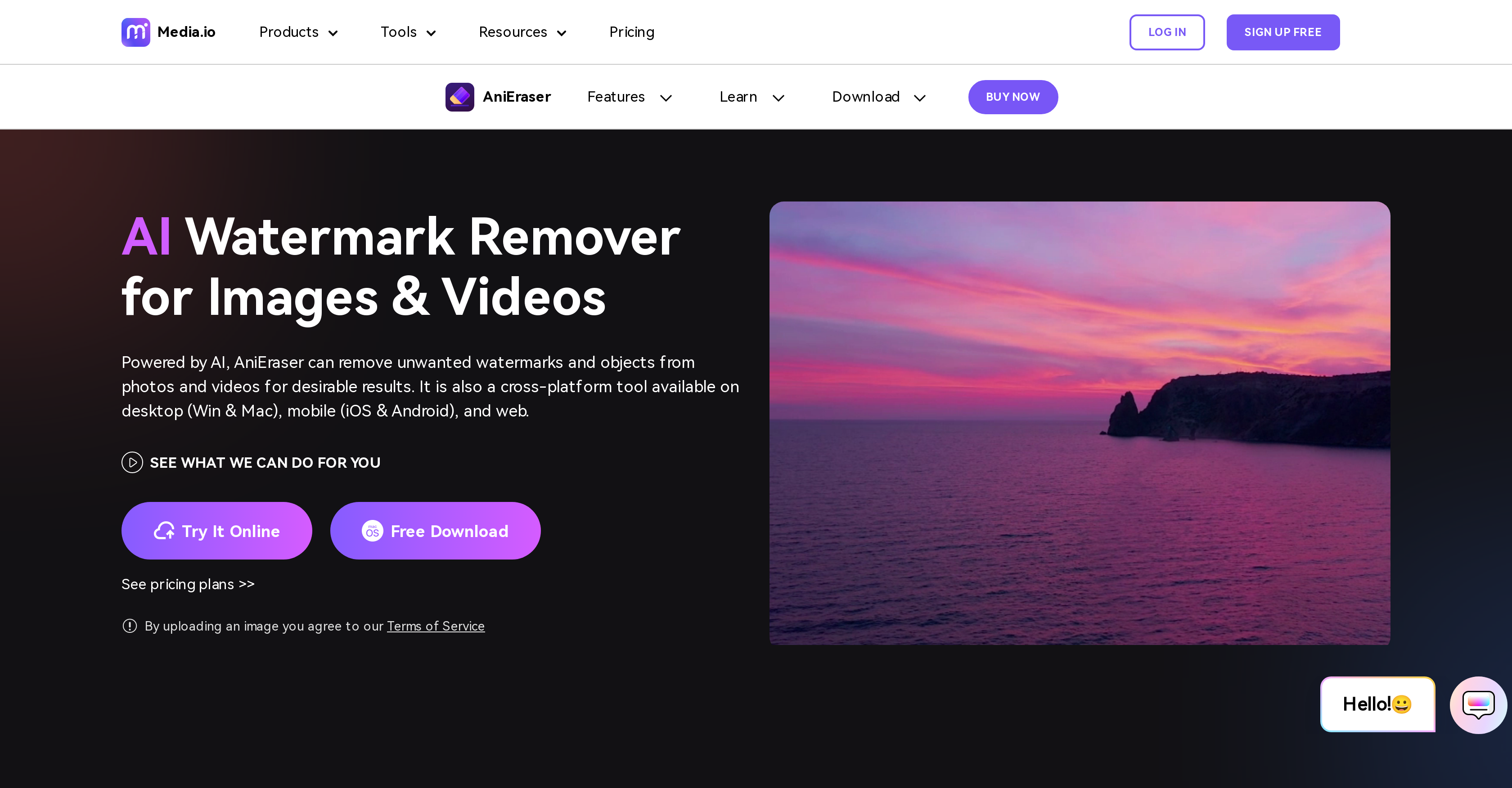 AniEraser - AI Tool For Object removal