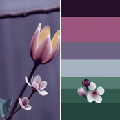 Color name generator - (Free, No Signup AI Tool)