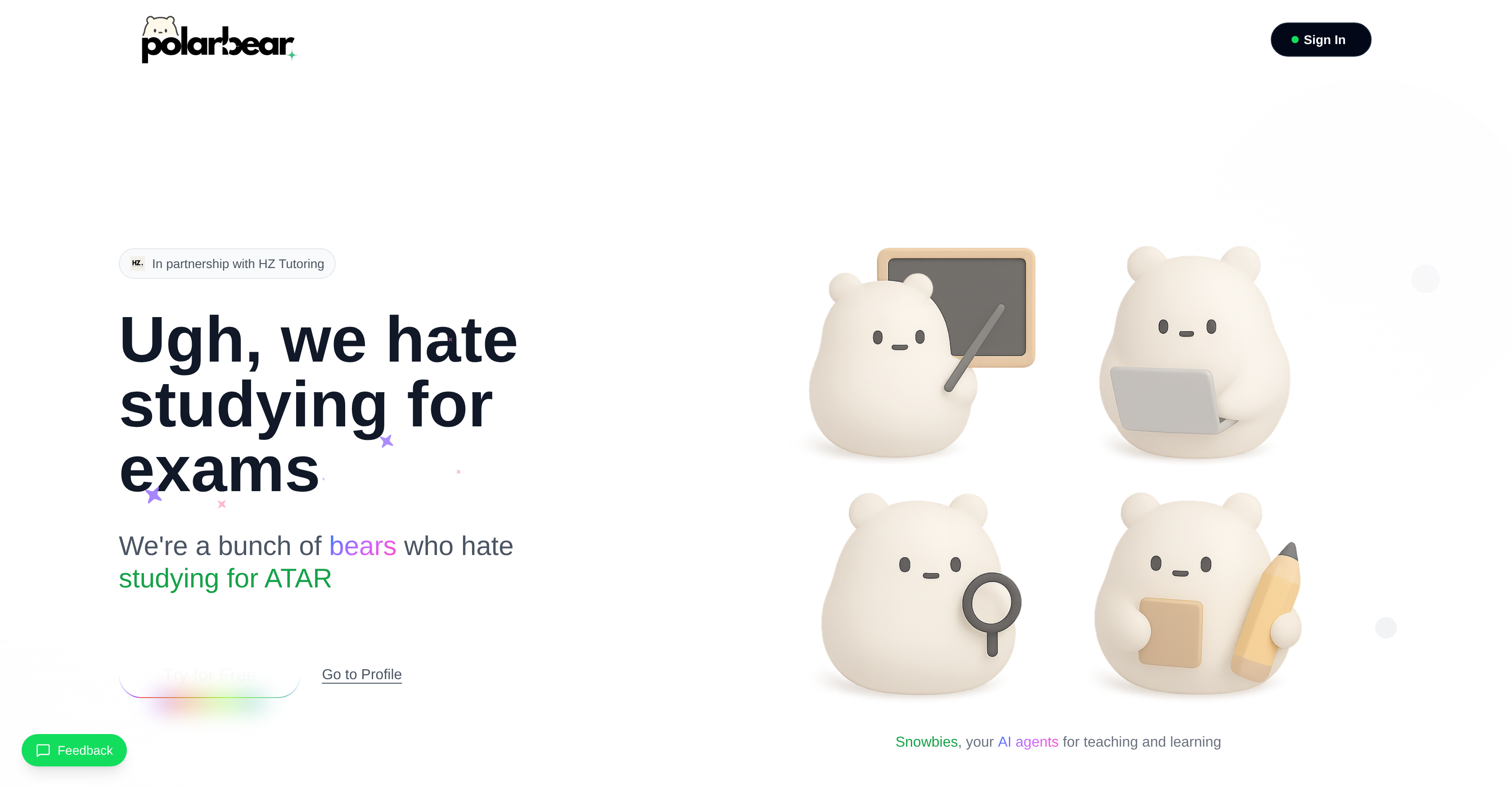 Polarbear Study - AI Tool For Studying