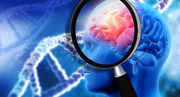 Skills Identifier - (Free, No Signup AI Tool)