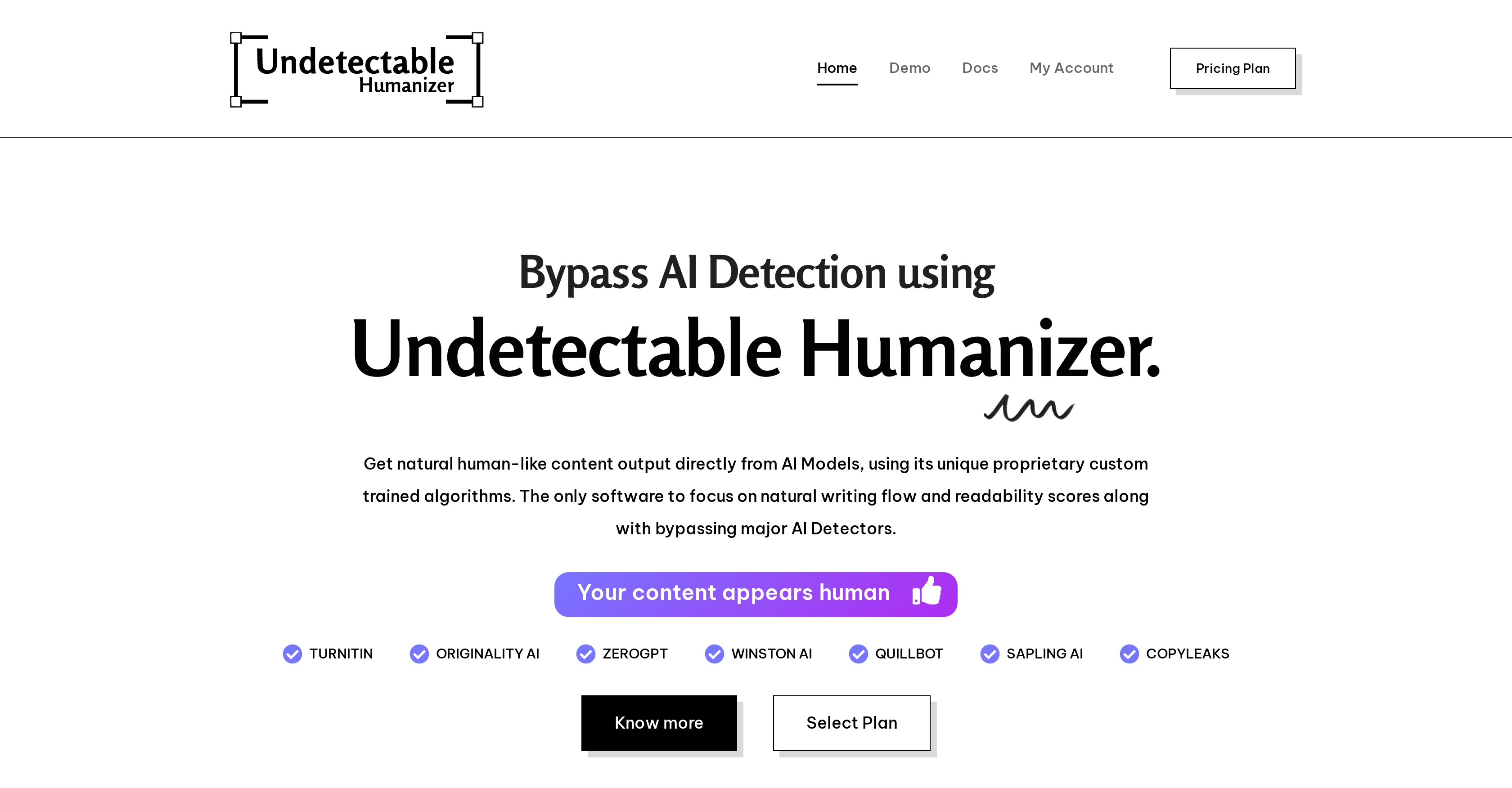 Undetectable AI Humanizer - AI Tool For Text humanization