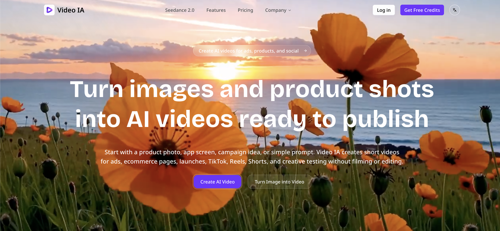 Video IA - AI Tool For Videos