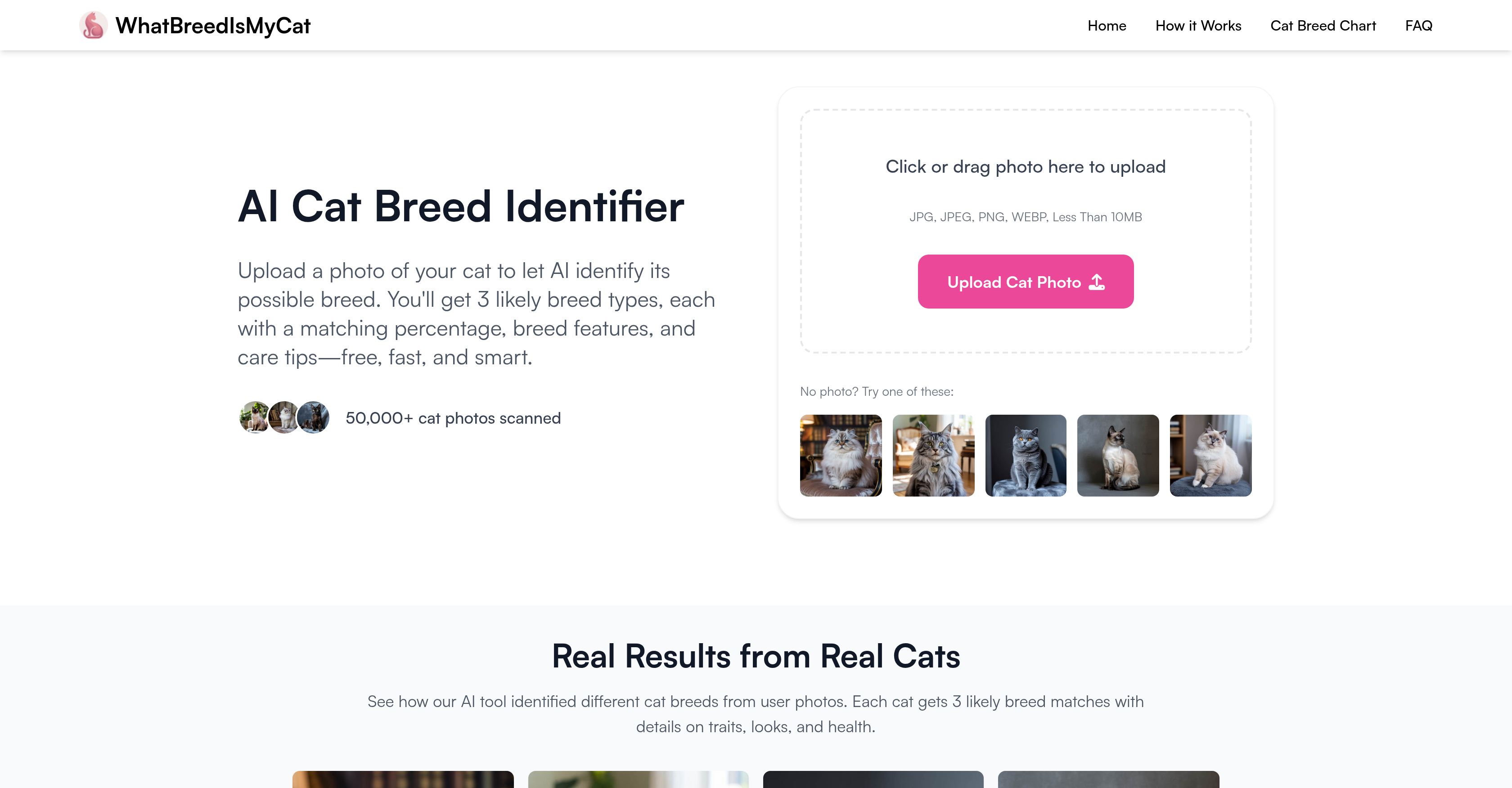 WhatBreedIsMyCat - Cat breed identification - TAAFT